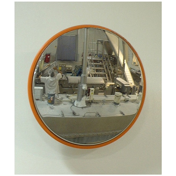Food Processing Mirrors | Safety Mirrors