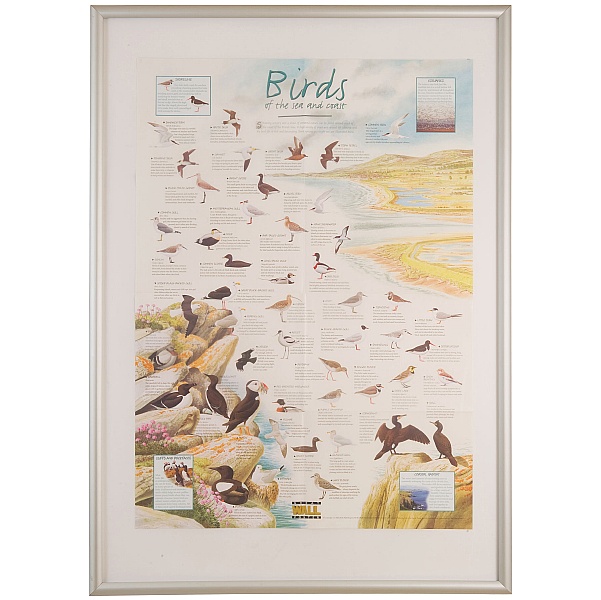 Poster Display Cases | Poster Display & Signage